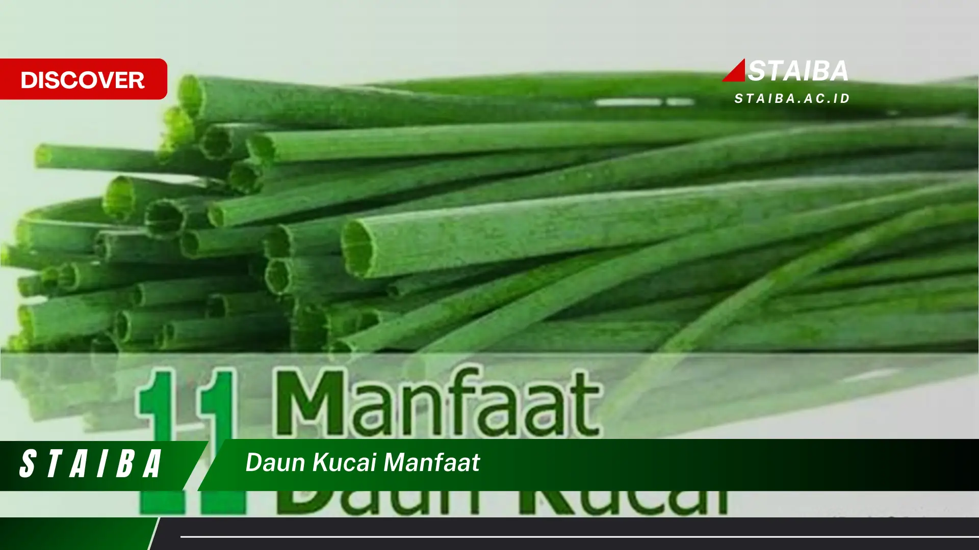 Ketahui 9 Manfaat Daun Kucai untuk Kesehatan Anda Ketahui 9 Manfaat Daun Kucai untuk Kesehatan Anda